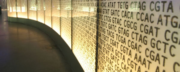 DNA Methylation - Secondhand Science
